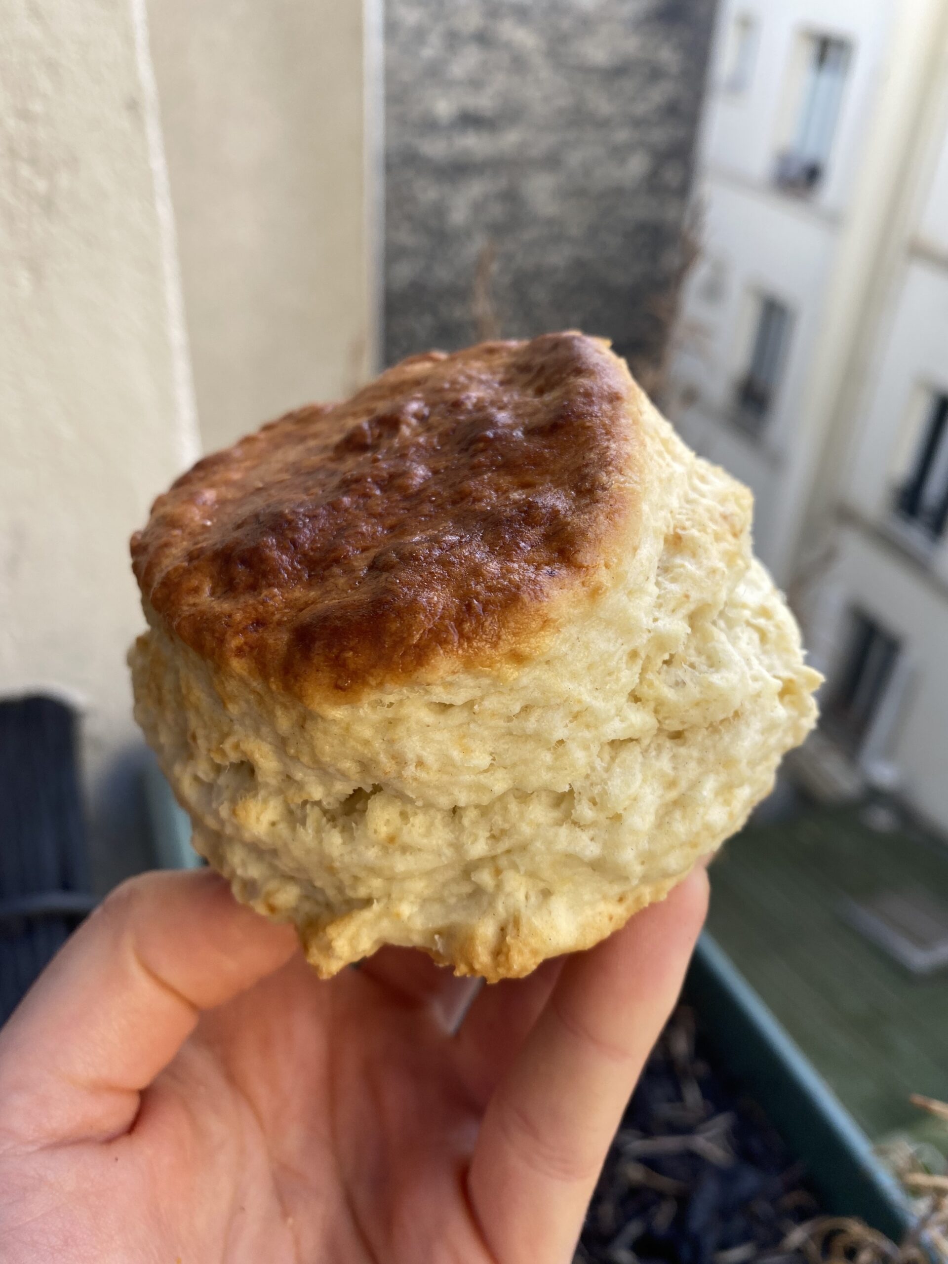 Scones — Kpatisserie | Kpatisserie